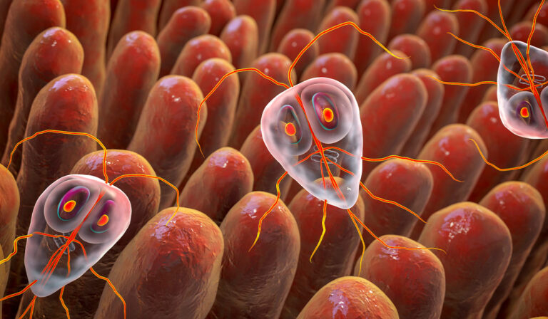 Giardia: What Is, Risk Factors, Symptoms, Complications, And Treatment
