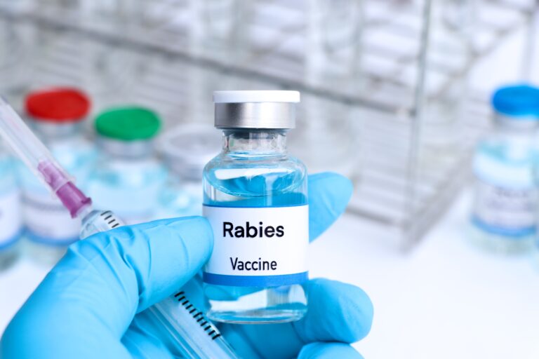 Rabies: What Is, Causes, Symptoms, Diagnosis, and Prevention