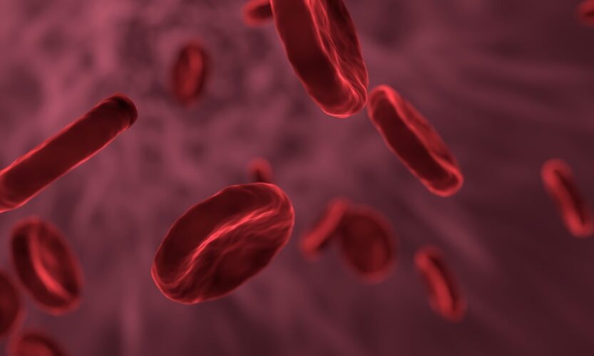 Hemoglobin: What Is, Levels, Causes, and Symptoms - Healthsea.com