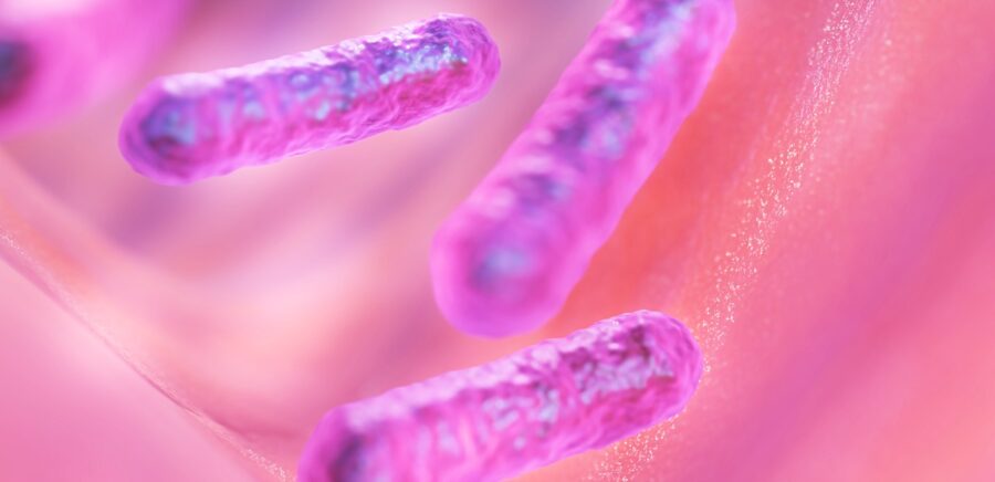 C. Diff: What Is, Spreading, Symptoms, Diagnosis and Treatment