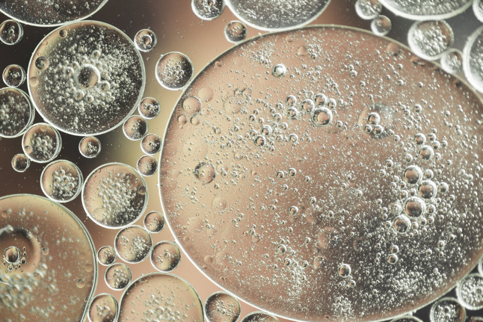 Candida: What Is, Tests, and Treatment