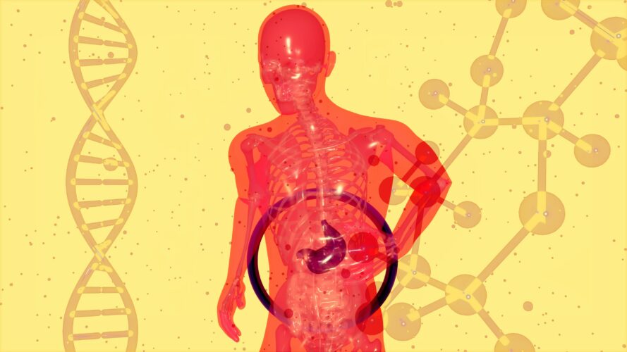 Hepatitis A: What Is, Risk, Symptoms, Diagnosis, and Vaccination