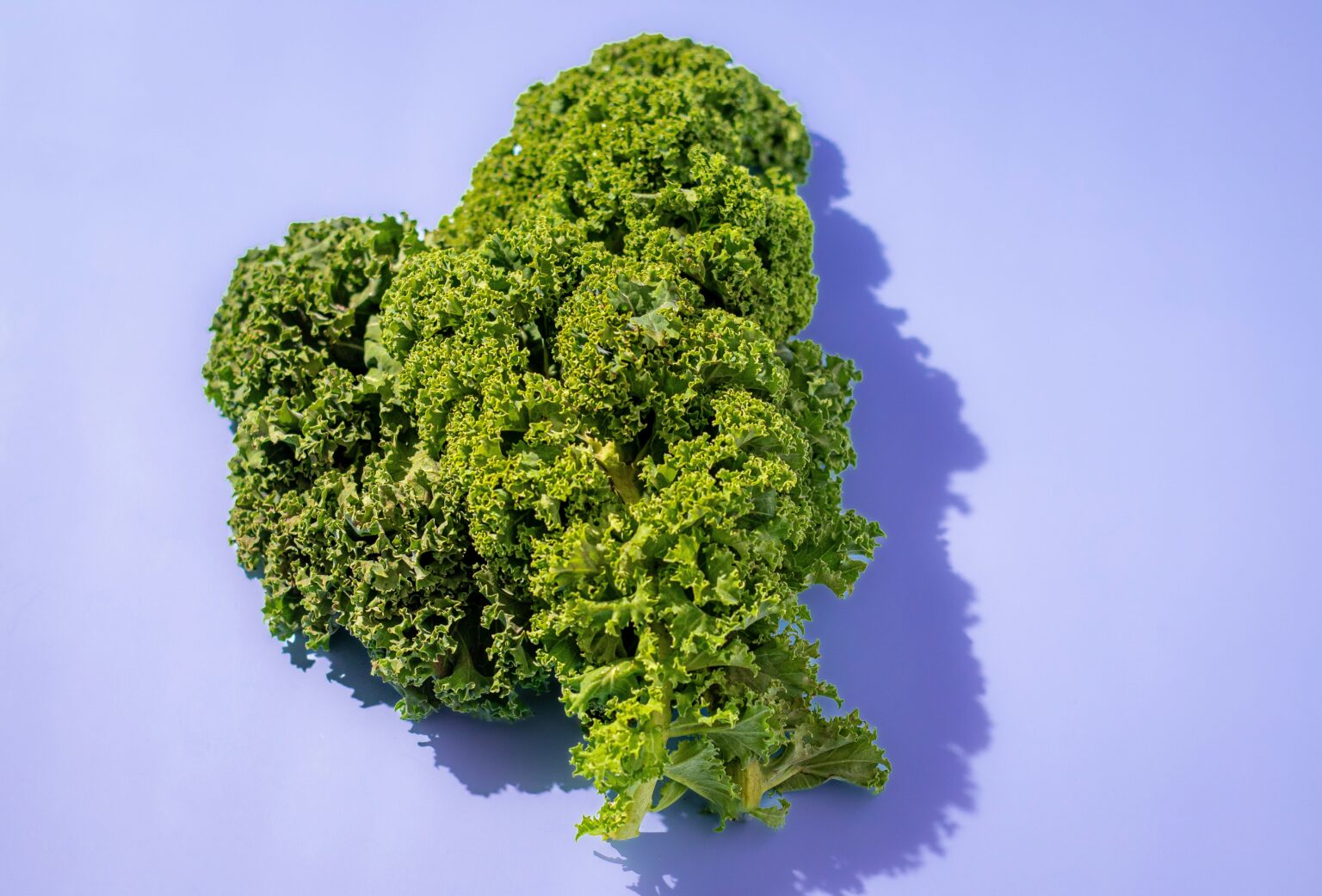 Kale: What Is, Health Benefits, Composition, and Safety - Healthsea.com