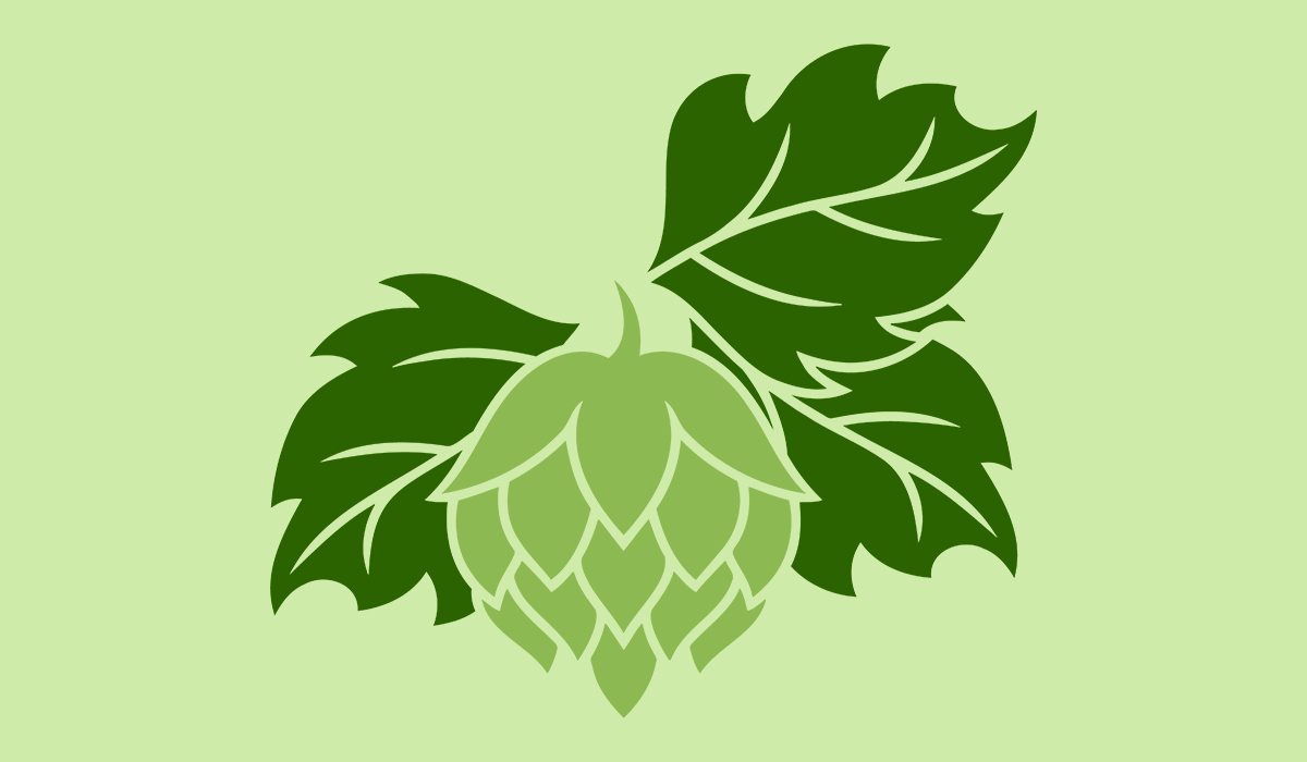 Hops: What Are, Health Benefits, Content, and Safety